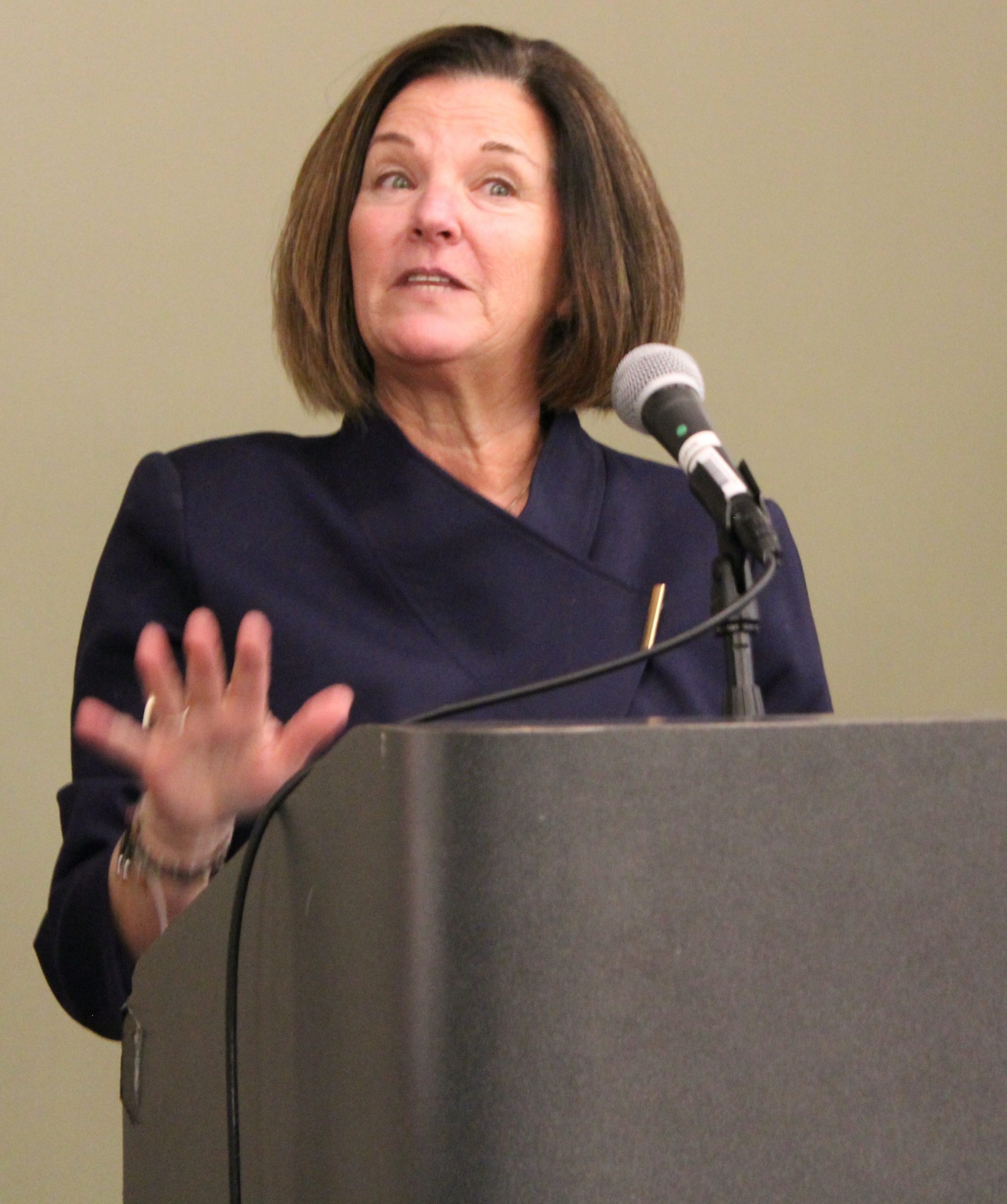 Smith recognized for civil legal aid advocacy at IBF retirement ...